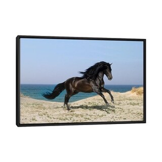iCanvas "Black Horse on The Beach" by Bob Langrish Framed Canvas Print ...