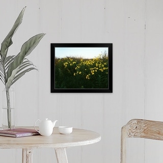"Wildflowers blooming on prairie, Hayden Prairie State Preserve, Iowa ...