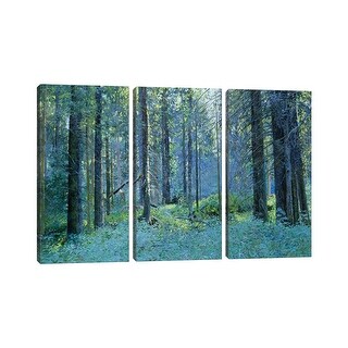 iCanvas "Balaam Thick Of The Forest" by Simon Kozhin 3-Piece Canvas ...