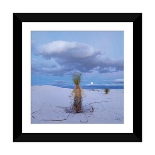 iCanvas "Moon And Soaptree Yucca, White Sands Nm, New Mexico" by Tim ...
