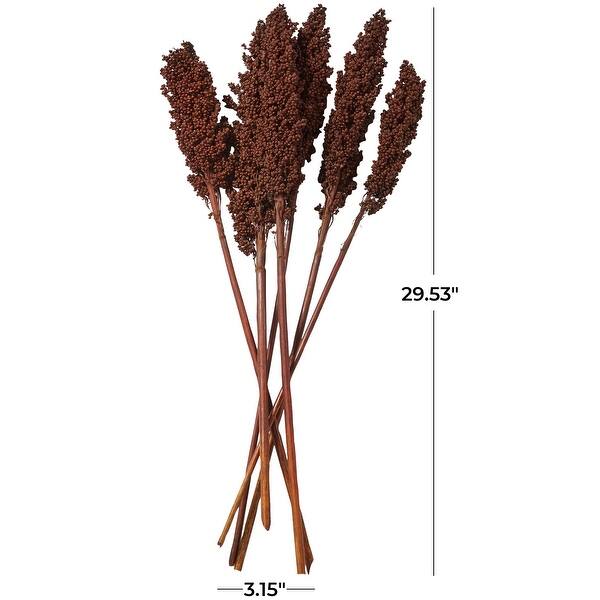 Dark Brown Dried Plant Corn Maze Natural Foliage with Long Stems - Dark ...
