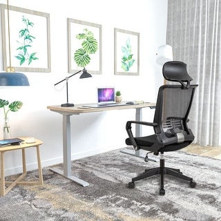 Ergonomic Standing Desk Base WorkStation,With Hand Controller,Height ...