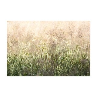 Wheat field with grass feathers Photography Family Art Print/Poster ...