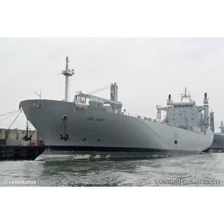 USCGC Cape Trinity (WPB-95331) 36 Inches L Ship Model - Bed Bath ...