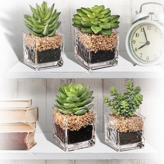 Plastic Succulent In Glass W Rock 4-5" Set of 4 - 5" - Bed Bath ...