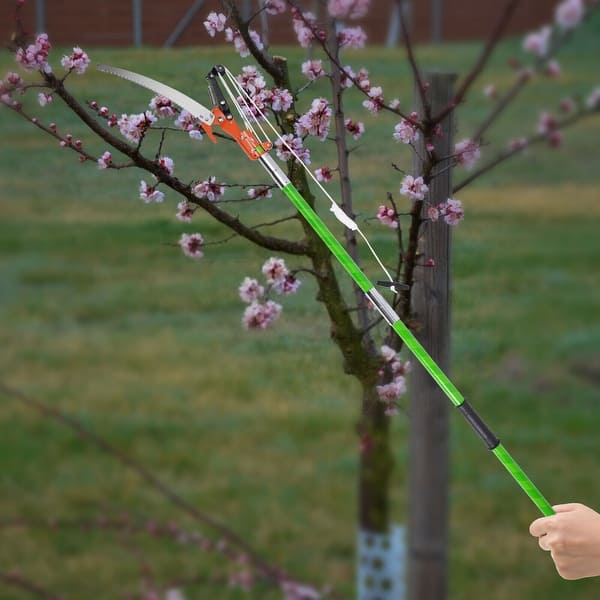 extended tree cutter