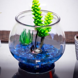 Alpine Corporation Single Jet Pond Fogger with Transformer Outdoor ...