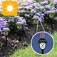 Solar Collin Pathway Light 6 Pack - Bed Bath & Beyond - 31319505