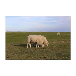 Pellworm Schleswig Holstein Germany Photography Sea Art Print/Poster ...