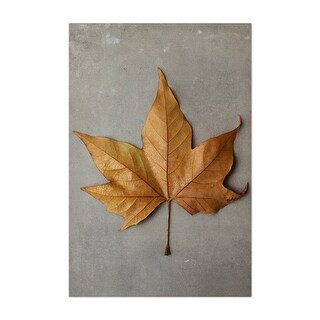 3 Autumn Maple Leaf Photography Floral Botanical Art Print/Poster - Bed ...