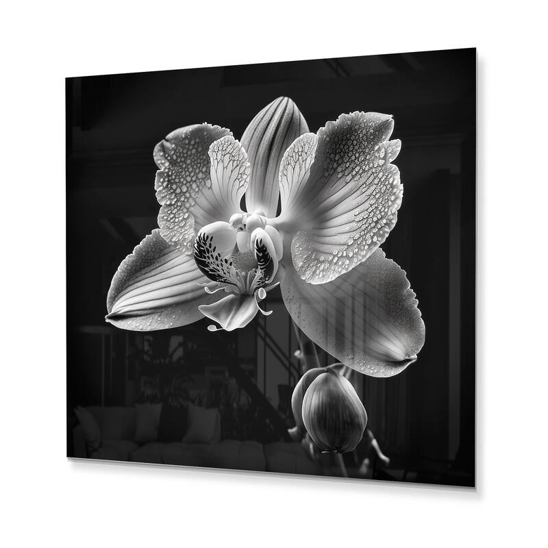 Designart 'Luminous White Orchid With Purple Glow VI' Floral Orchid ...