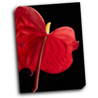 Anthurium 1 16x20 Gallery Wrapped Stretched Canvas - Bed Bath & Beyond ...