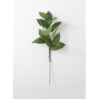 Sullivans Artificial Salal Leaf Stem 36"H Green - 5"L x 7"W x 36"H ...