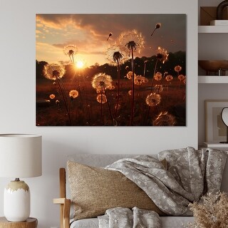 Designart "Sunset Dandelion Field I" Floral Wall Art Prints - Bed Bath ...