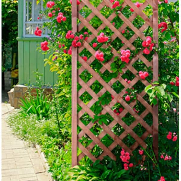 diamond pattern trellis