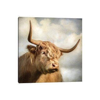 iCanvas "Cow" by Mark Gemmell Canvas Print - Bed Bath & Beyond - 33185260
