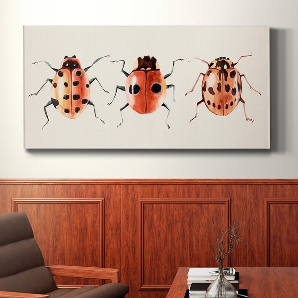 ladybug interior