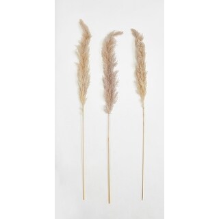 42" Tall Natural Glow Stick Pampas Grass, Set of 6 - 42 - Bed Bath ...