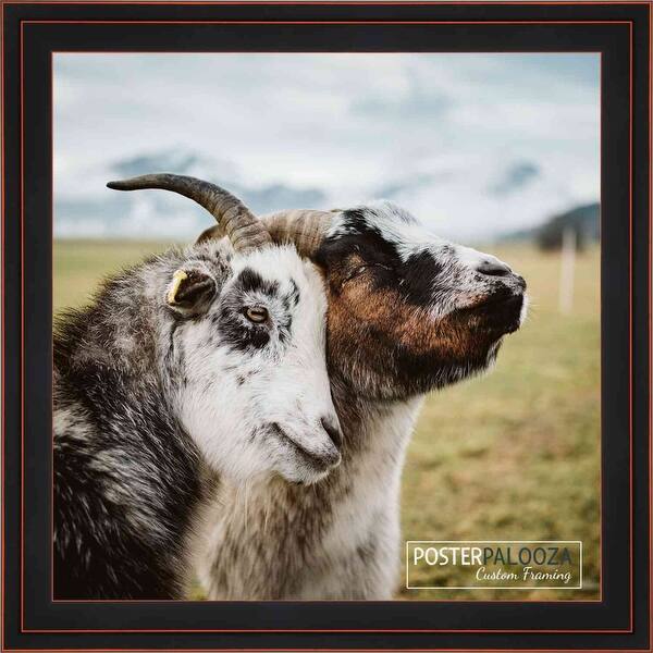 black square frames 30x30