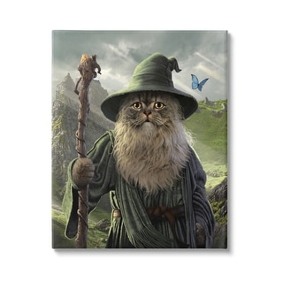 Stupell Fantasy Wizard Cat Canvas Wall Art Design by Vincent Hie - Bed ...