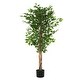 63" Artificial Ficus Tree with Black Plastic Pot - Bed Bath & Beyond ...