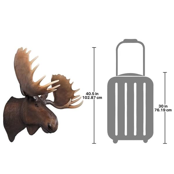Design Toscano North American Majestic Moose Trophy Head Wall Sculpture ...