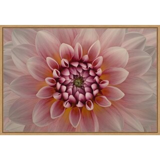 Pink Dahlia Macro by Richard Urbanski (23 x 16 in.), Framed Canvas Wall ...