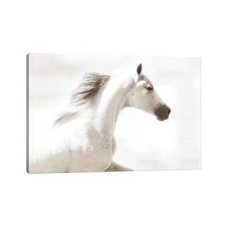 iCanvas "Dash III" by Kari Brooks Canvas Print - Bed Bath & Beyond ...