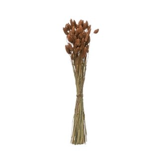 19-1/2"H Dried Natural Canary Grass Bunch - Bed Bath & Beyond - 35297206