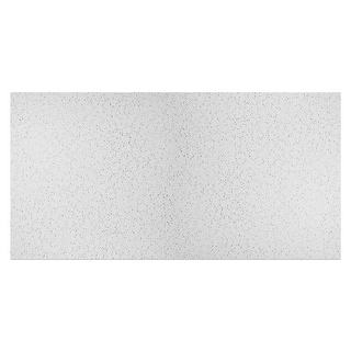 seamless ceiling panels