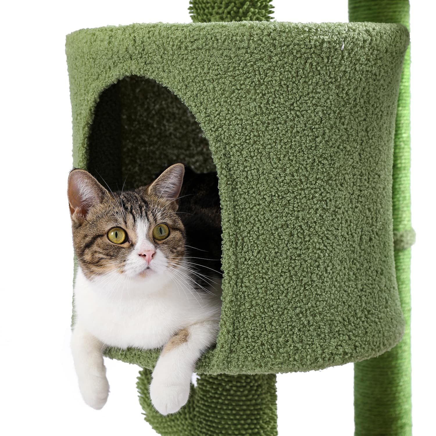 36In. Green Cat Tree Multi-Level Condo and Ladder Cat Tree with the ...