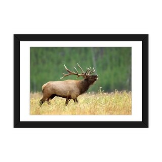 iCanvas "Bellowing Bull Elk II, Yellowstone National Park, Montana, USA ...