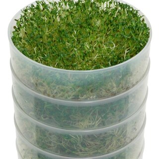 Victorio Kitchen Pro 4-Tray Seed Sprouter - Bed Bath & Beyond - 27727558