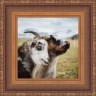 8x8 Ornate Antique Gold Complete Wood Square Picture Frame with UV ...