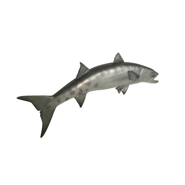 barracuda design