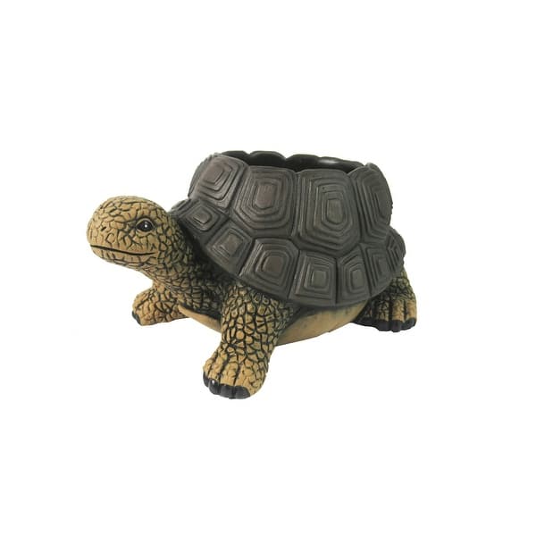 9.3" Cement Turtle Planter - Bed Bath & Beyond - 43372220