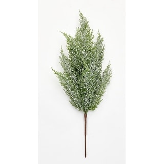 21" Snowy Cedar Spray, Set of 3 - Green - Bed Bath & Beyond - 38365647