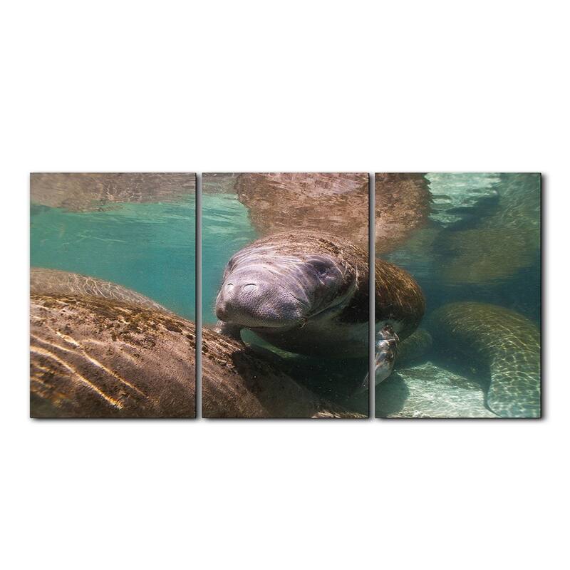 Ready2HangArt 'Manatee' 3-Piece Wrapped Canvas Wall Art Set - Overstock ...