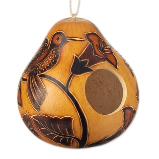Novica Handmade Flight Of The Hummingbird Dried Gourd Birdhouse - Bed ...