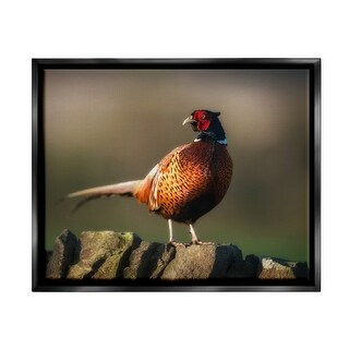 Stupell Illuminated Pheasant Bird Standing Woodland Nature Scenery ...