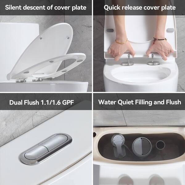 double cyclone flush