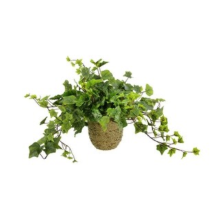 Ivy Arrangement in Rope Pot - Green - Bed Bath & Beyond - 39876129