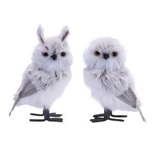 Fluffy Winter Owl Shelf Sitter (Set of 6) - Bed Bath & Beyond - 40831641