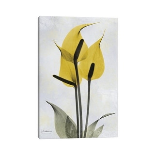 iCanvas "Golden Flamingo" by Albert Koetsier Canvas Print - Bed Bath ...