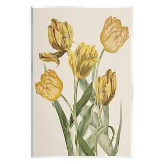 Stupell Antique Yellow Tulips Wall Plaque Art Design by Lil' Rue - Bed ...