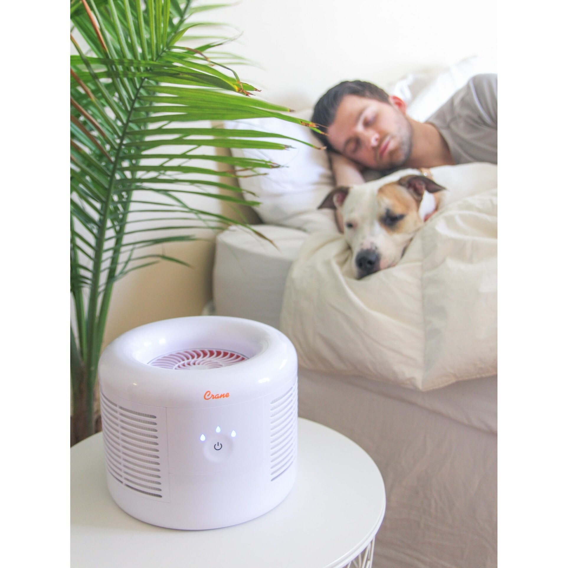 Crane Ee 7002air Air Purifier Table Top White 1 Count Pack Of 1