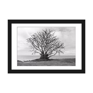 iCanvas "Barron Tree" by Sean Davey PFA - Bed Bath & Beyond - 37269757