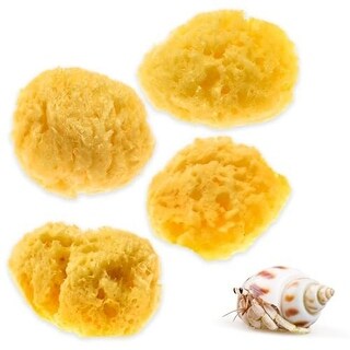 4-Pack of Natural Hermit Crab Sea Sponges - All Natural Sponge for ...
