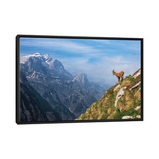 iCanvas "Alpine Ibex In The Mountains" by Ales Krivec Framed Canvas ...