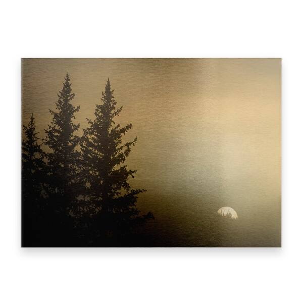 Dan Ballard 'Sunset Cabin' Floating Brushed Aluminum Art - Bed Bath ...